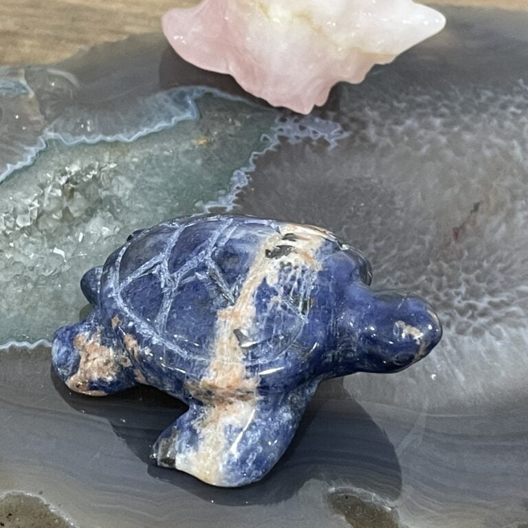 Beautiful Sodalite Crystal Turtle - 60mm 01 - Hunting Stones