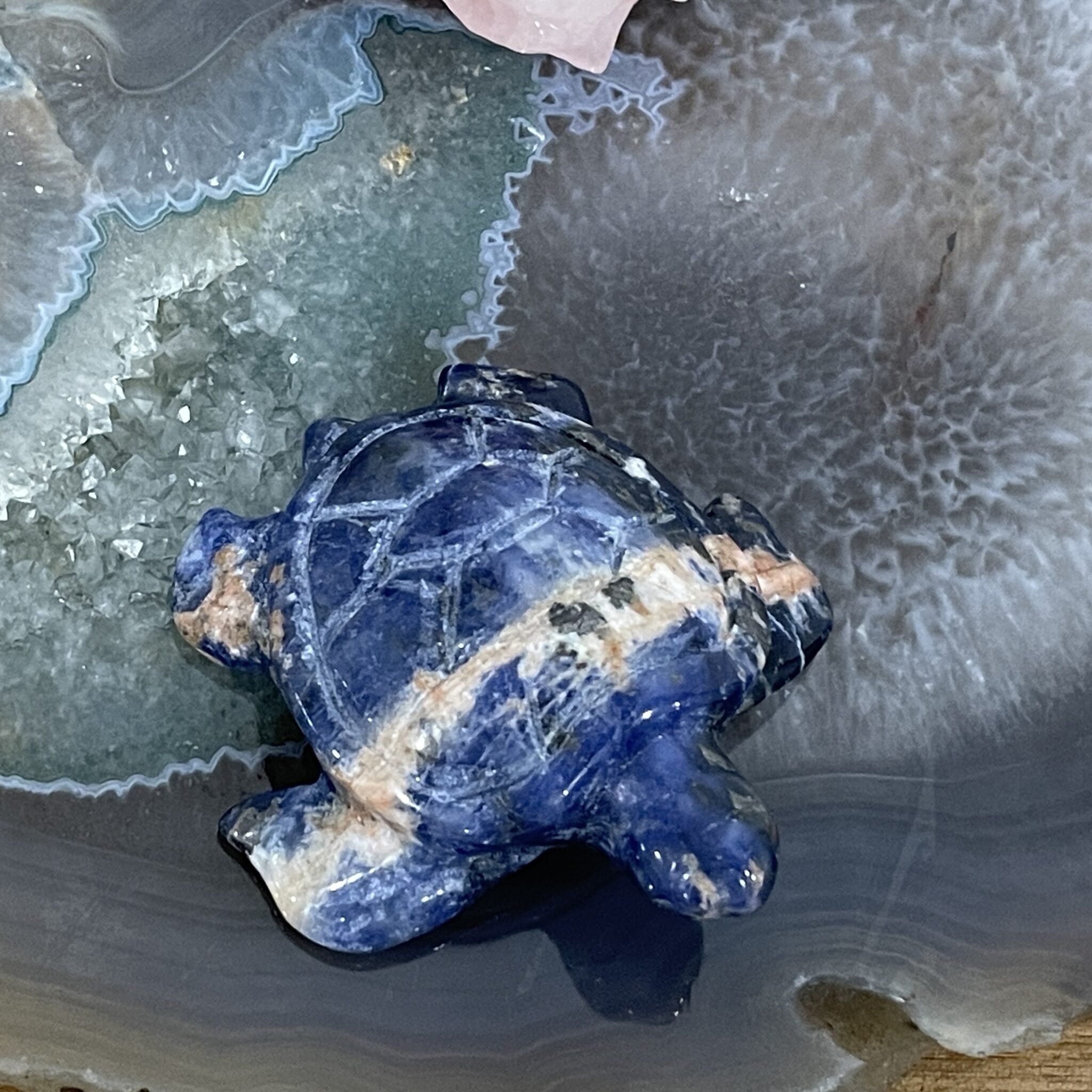 Beautiful Sodalite Crystal Turtle - 60mm 01 - Hunting Stones
